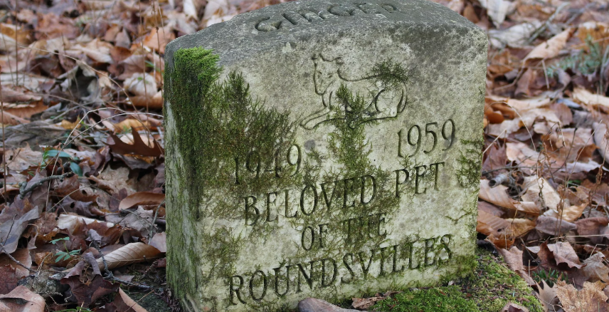 Pet Cemetery Long Island: A Final Resting Place for Your Beloved ...