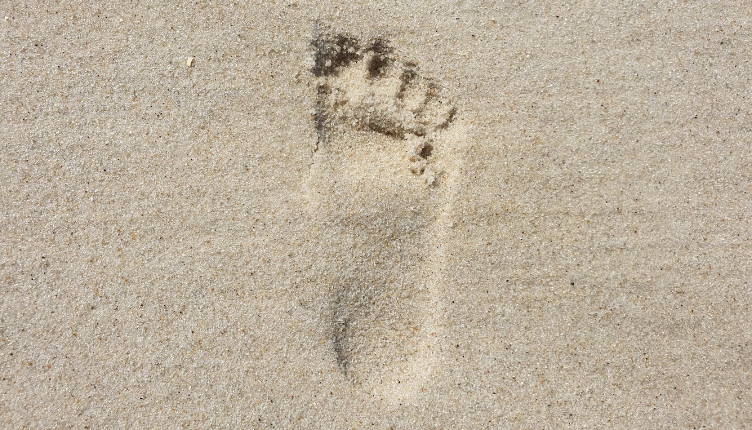 Where are the Hamptons on Long Island Map: A Comprehensive Guide for ...